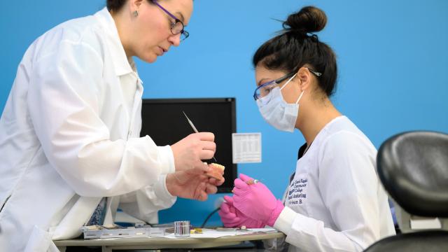 Dental Technical Standards | Grand Rapids Community College